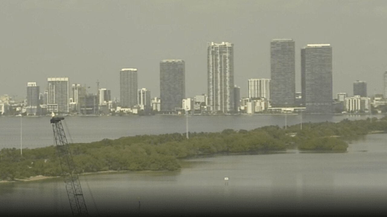 Watch Live | WPLG Local 10 | Miami news, weather, traffic, streaming ...